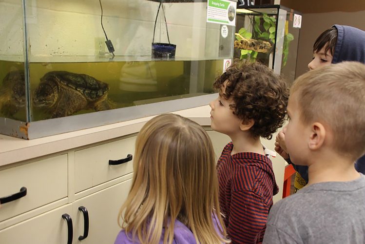 Little Explorers to learn about reptiles | News, Sports, Jobs - Times ...